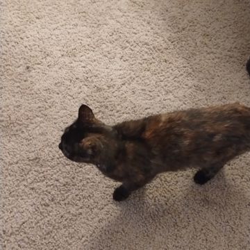 Christian Guardado (@christian_guardado_) • BandLab - Make Music Online