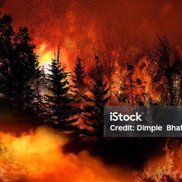 WILDFIRE (@lol_win) • BandLab - Make Music Online