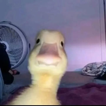 F*ck dis nigga by Jacob Daddy | BandLab