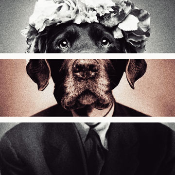 Mellified Man (@mellifiedmann) • BandLab - Make Music Online