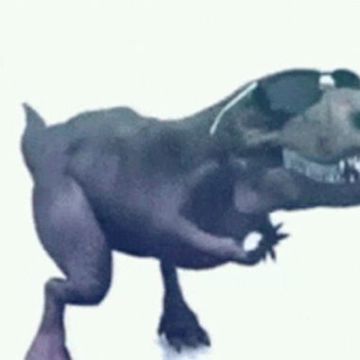 New Gooshi (@new_gooshi) • BandLab - Make Music Online