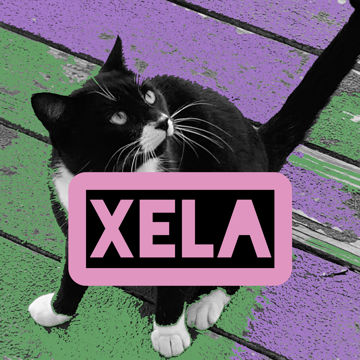 A post by Xela | BandLab