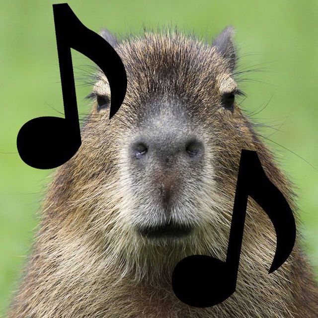 Capybara Music (@capybaramusic) • BandLab: Make Music Online