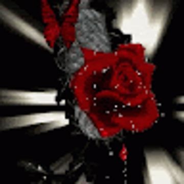 Winter Vance (@wvance) • BandLab: Make Music Online