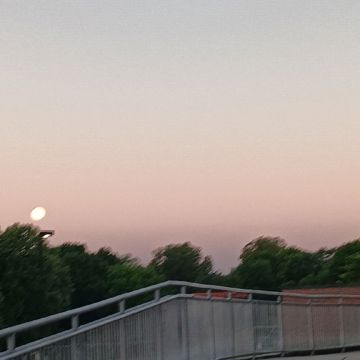 A post by Pan_alien_2 | BandLab