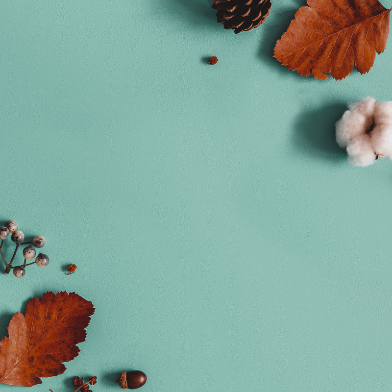 A post by Janaya Giles | BandLab